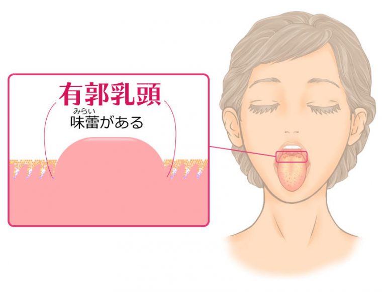 舌苔は口臭の元凶！舌苔の除去したい！原因・ケア方法・取り方 | ルブレン喉口臭®専門店｜いいの製薬